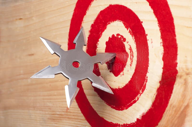 Arrow Moves Towards the Target. Goal Achievement, Success and Planning ...