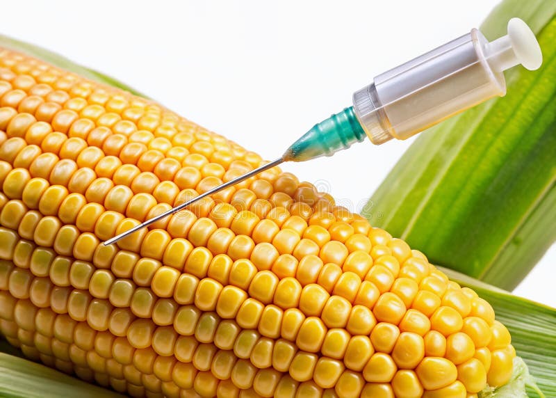 Targeted Pesticide Application in Corn a CloseUp Examination of Precise ...