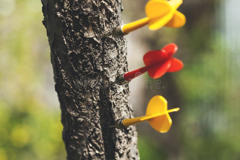 Arrow Hit Tree Stock Photos - Free & Royalty-Free Stock Photos from ...