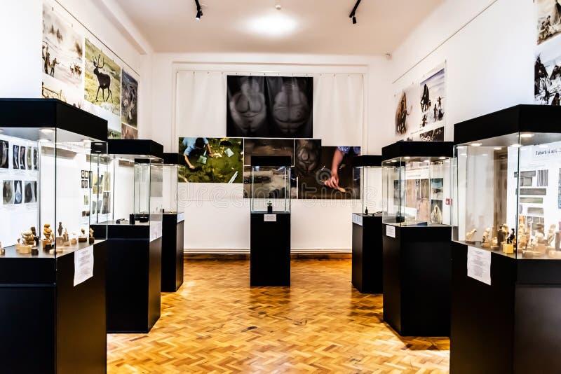 Museum of Human Evolution and Technology in the Paleolithic Editorial Image - Image of figurines ...