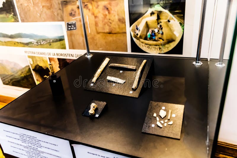 Museum of Human Evolution and Technology in the Paleolithic Editorial ...