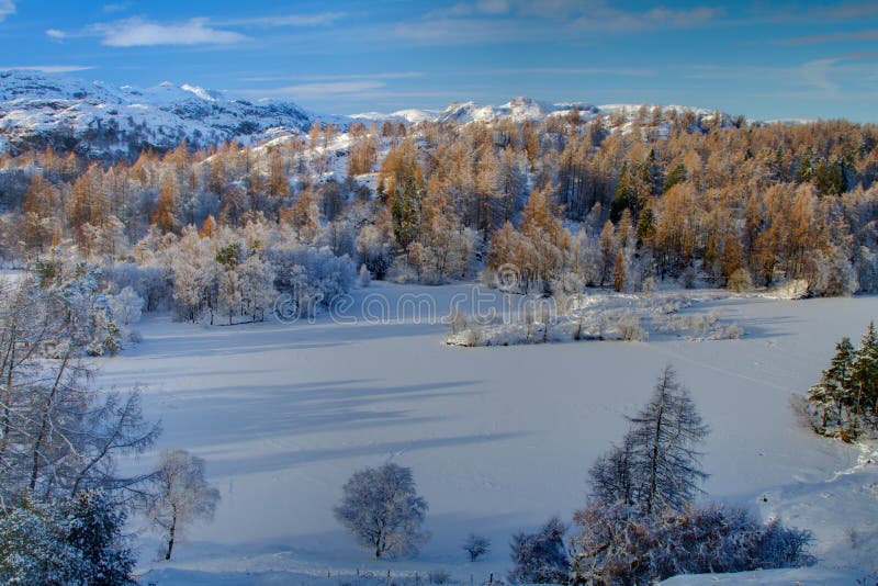 Tarn Hows In Winter 1 Picture. Image: 17341953