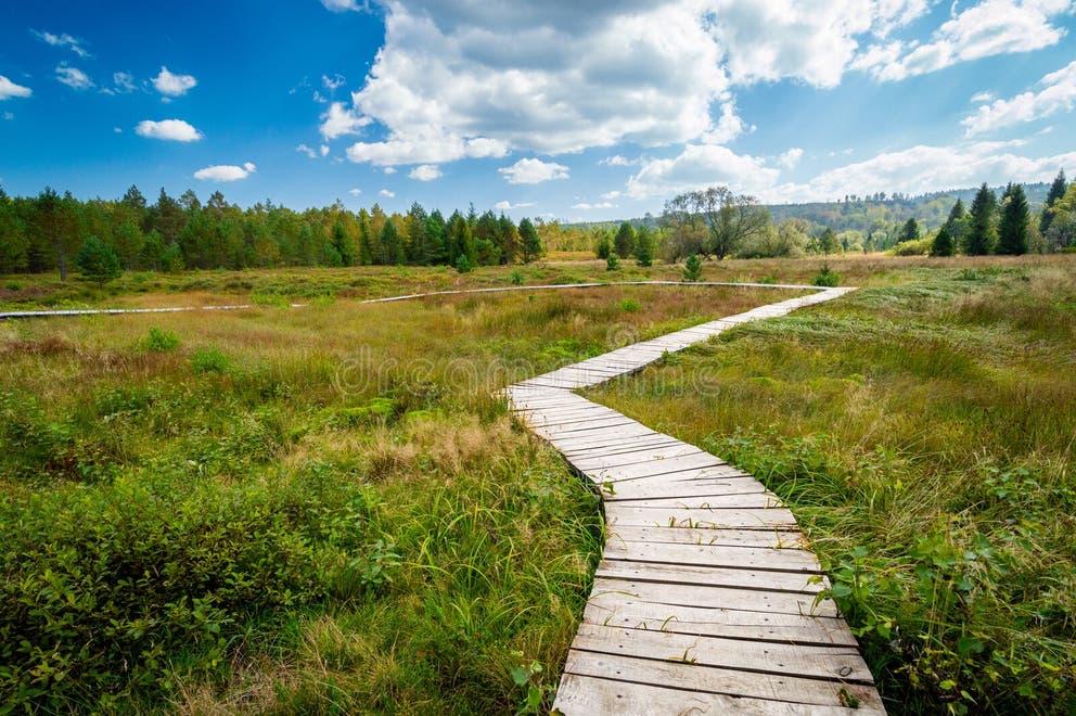 Tarnawa Peat Bog trail stock image. Image of moor, bieszczadzki - 308319051