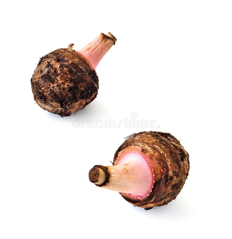 Fresh taro root( stock image. Image of brown, vegetable - 22747033