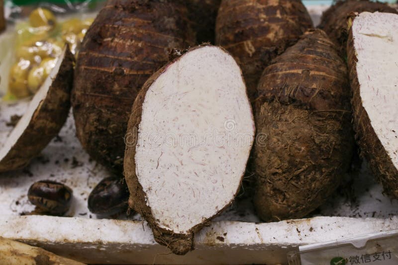 Taro foto de archivo. Imagen de fruta, taro, aislado - 106905658