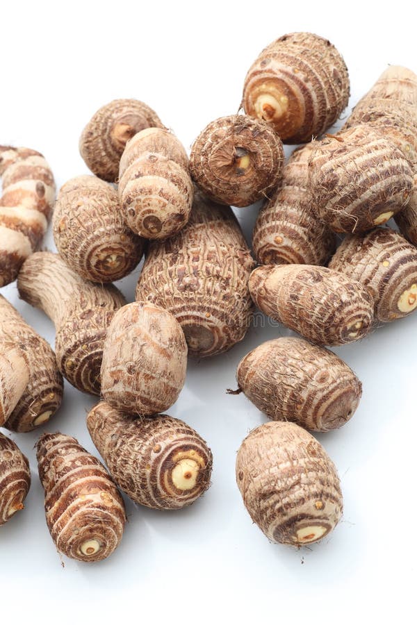 Taro Plants Growing in a Field Stock Image - Image of lush, herbaceous ...
