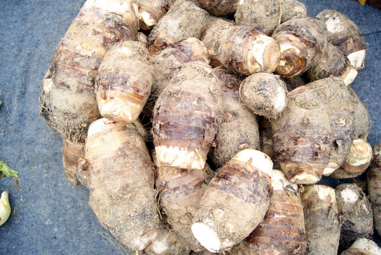 3,631 Taro Color Stock Photos - Free & Royalty-Free Stock Photos from ...