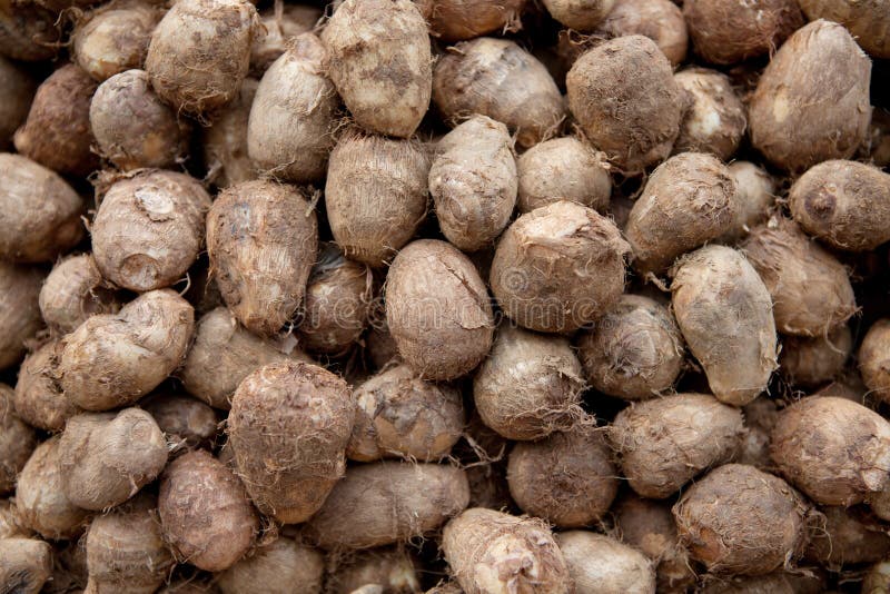 Taro foto de stock. Imagem de taro, bebida, vegetal, alimento - 21852104