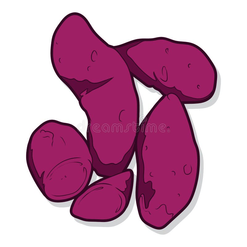 Taro de dibujos animados ilustración del vector. Ilustración de ...