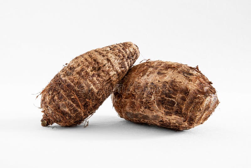 Taro or eddo root stock photo. Image of close, exotic - 282098388
