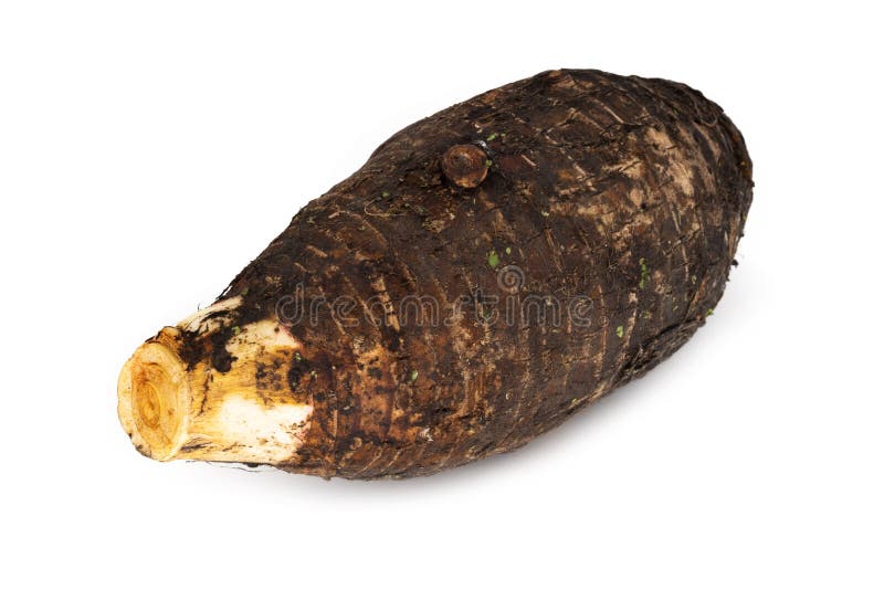 Taro imagen de archivo. Imagen de ingrediente, fruta - 100001839