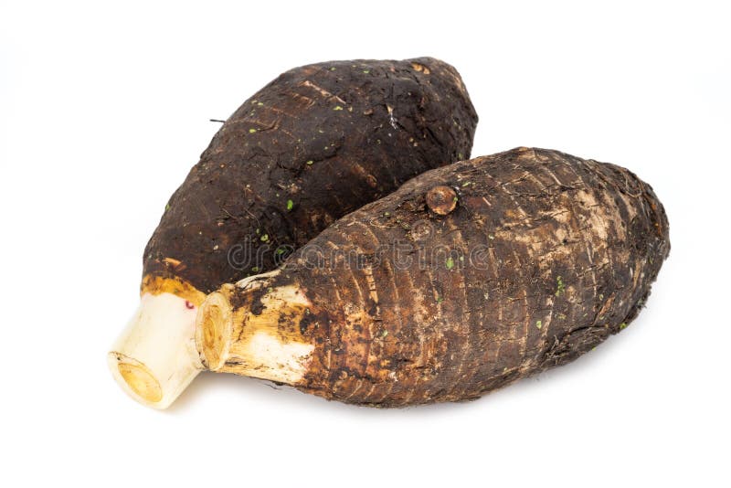 Taro imagen de archivo. Imagen de ingrediente, fruta - 100001839