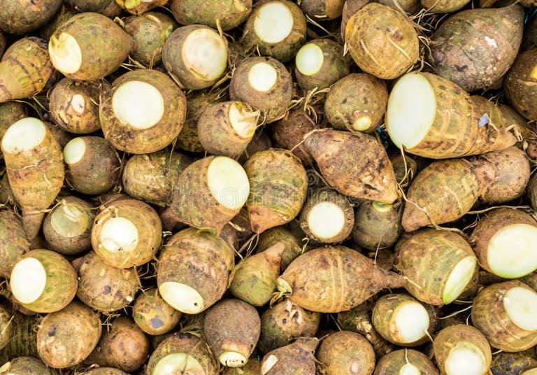 Taro fruit in the market stock photo. Image of yellow - 321488190
