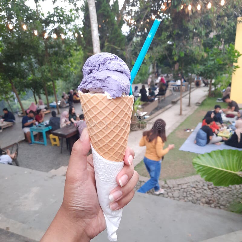 Taro gelato for life stock photo. Image of icecream - 203937164