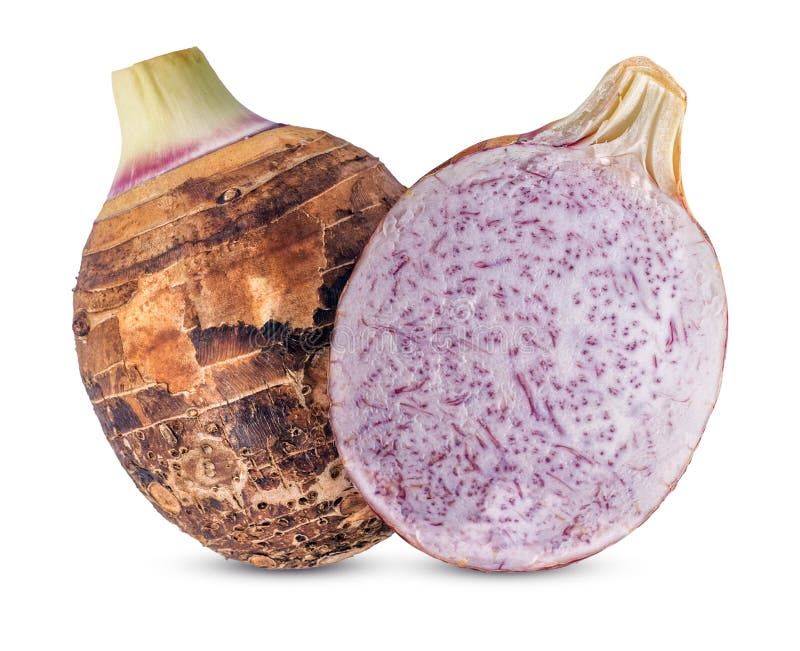 Taro Isolated on White Background Stock Photo - Image of healthy ...