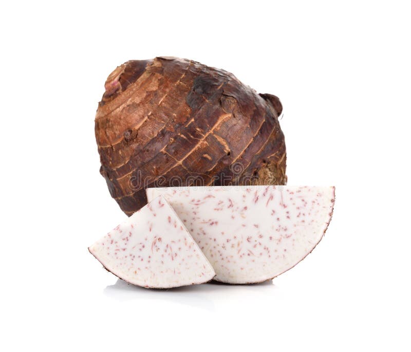 Taro stock image. Image of germination, plant, exotic - 53292789