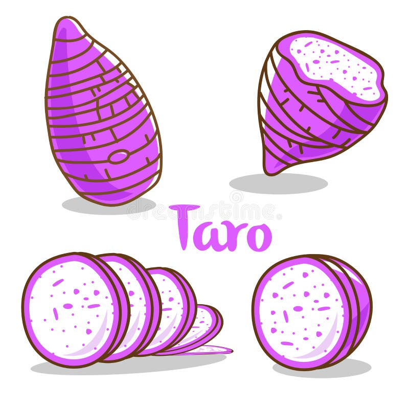 Taro Background Stock Illustrations – 722 Taro Background Stock ...