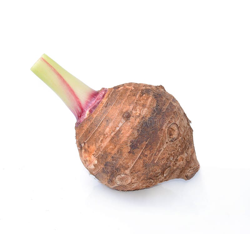 Taro Isolated on White Background Stock Image - Image of sliced, roots ...