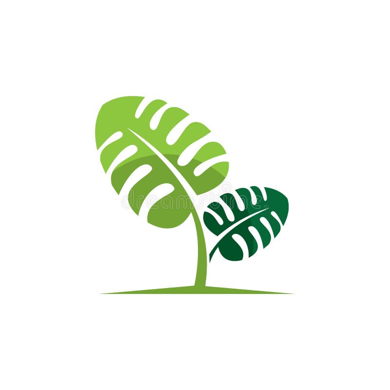 Taro leaves icon stock vector. Illustration of vector - 175467828