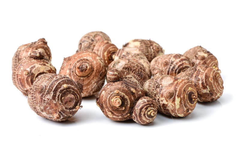 Taro Root stock foto. Image of gezond, vers, aziatisch - 115693950