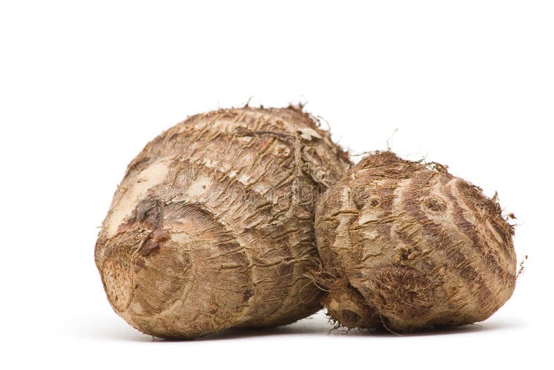 Eddoe a Tropical Root Vegetable Stock Photo - Image of taro, exotic ...