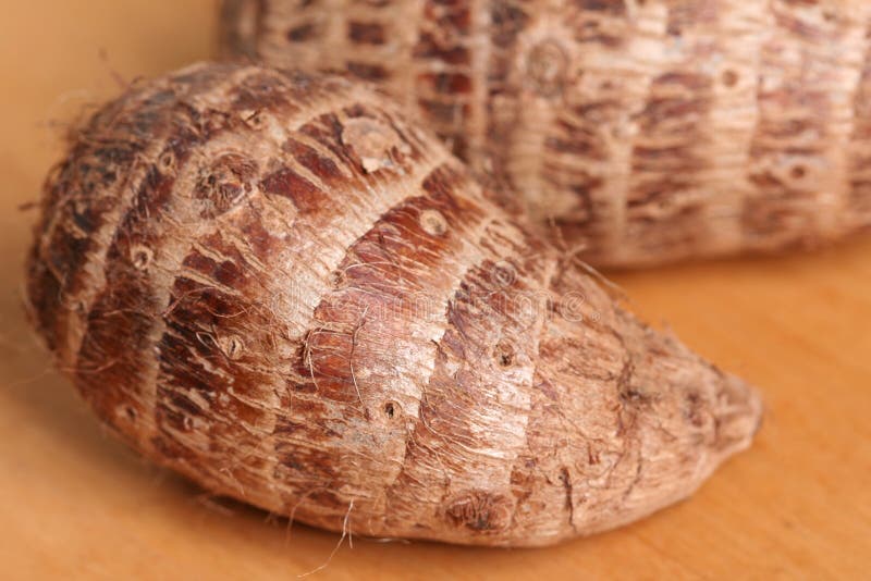 Taro Root stock photo. Image of food, tropical, close - 4109064