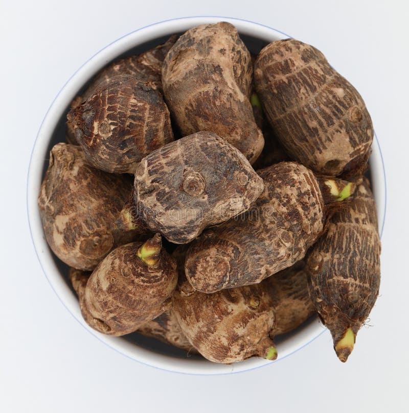 Taro root stock image. Image of indian, arabi, brown - 90668899