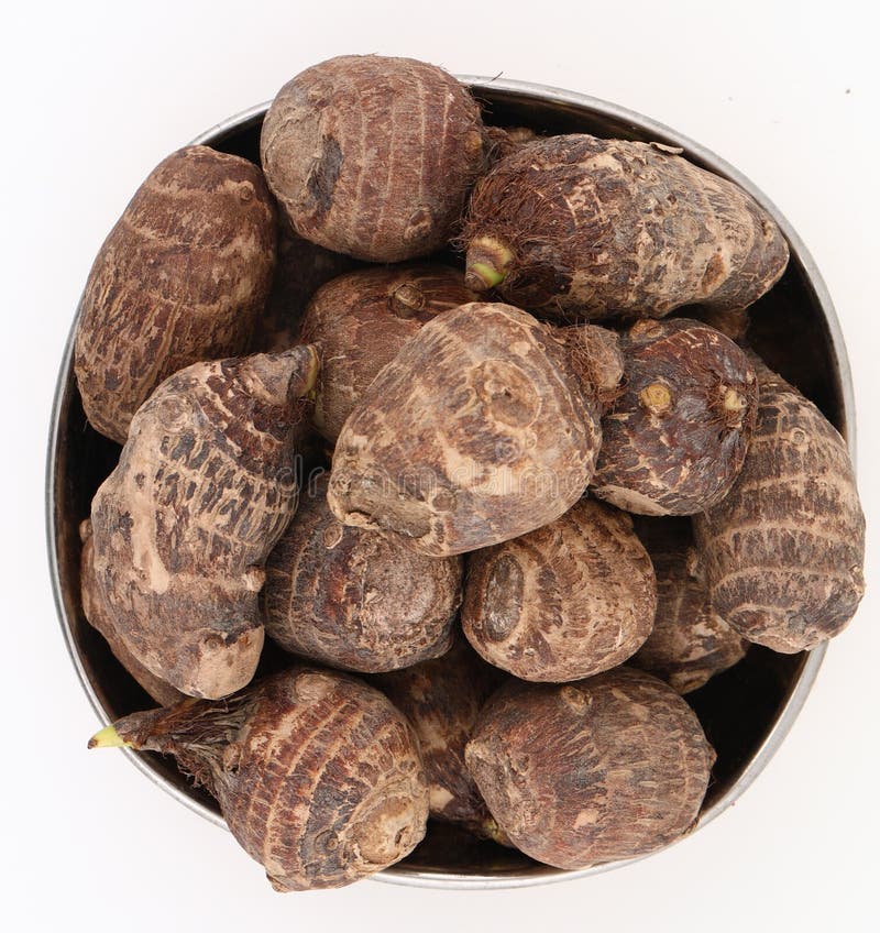 Taro root stock photo. Image of tuber, colocasia, asia - 90668924