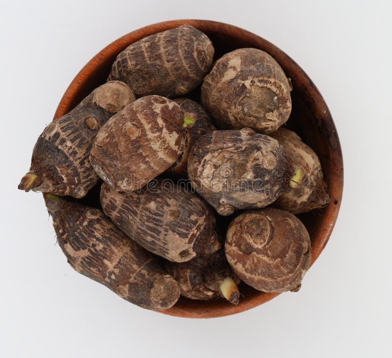 Taro root stock photo. Image of agriculture, rootcolocasia - 90669328