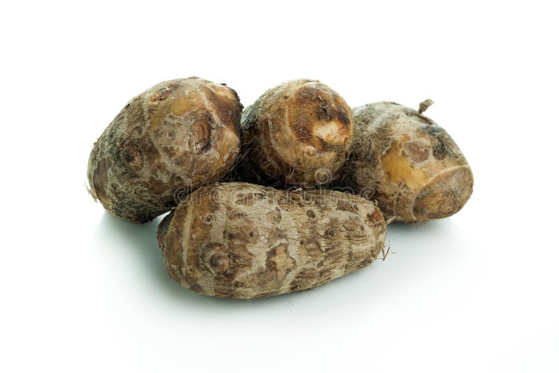 Taro Roots stock photo. Image of white, tuber, taro, ingredients - 6121740