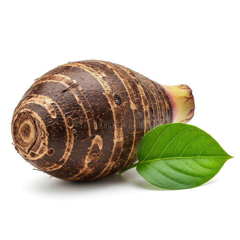 Taro Root Flat Design Vector Illustration Isolated on White Background ...