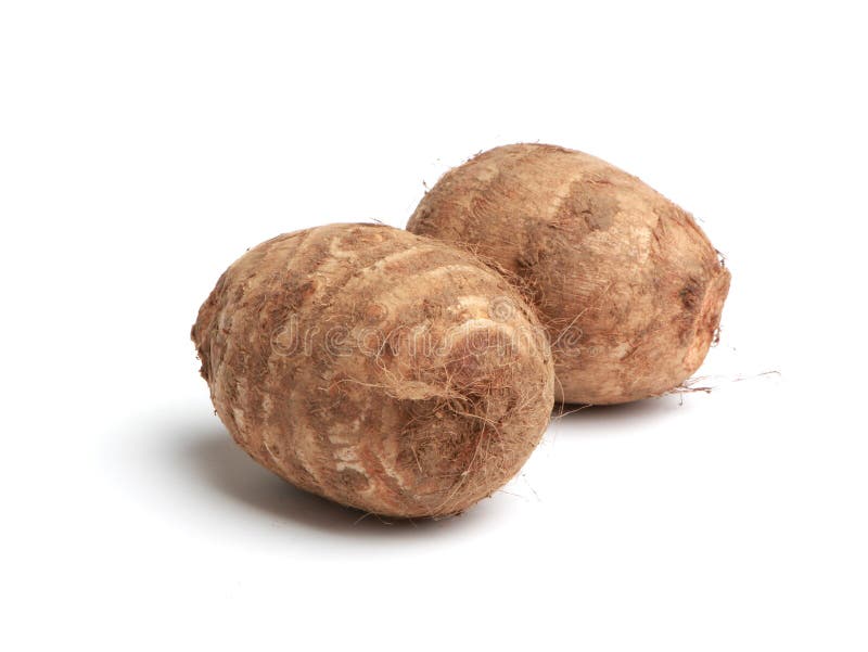 Taro Roots stock photo. Image of white, tuber, taro, ingredients - 6121740