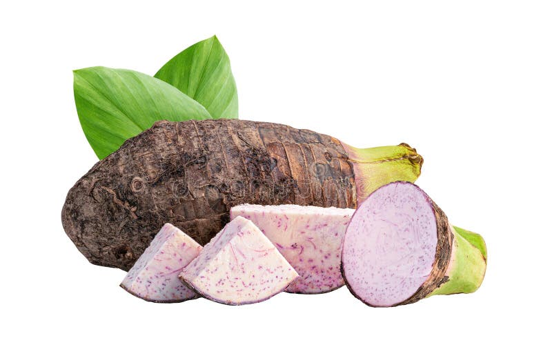 127 Dasheen Taro Tree Stock Photos - Free & Royalty-Free Stock Photos ...