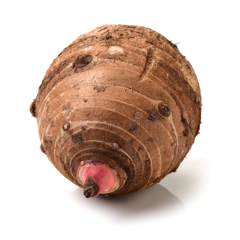 Taro root stock photo. Image of healthy, fruit, asian - 130186732