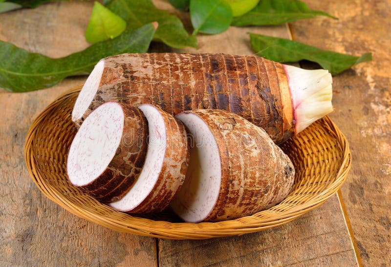 Taro crops stock image. Image of edible, herbaceous, garden - 35540757