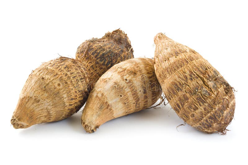 Taro Roots and Cross Sections Stock Photo - Image of sections, taros ...