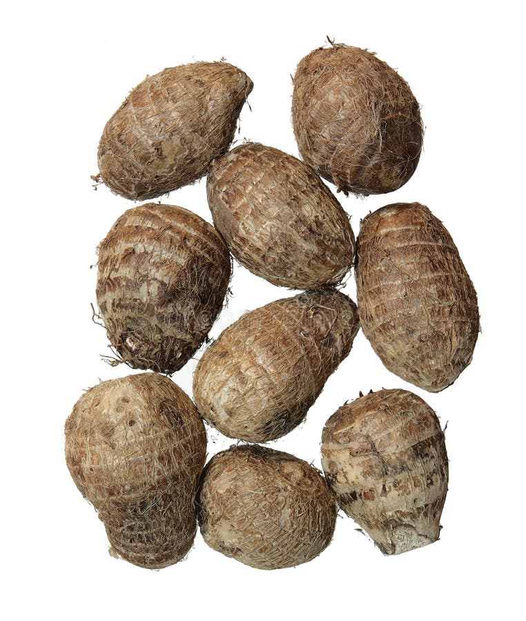 Taro Roots stock photo. Image of white, tuber, taro, ingredients - 6121740