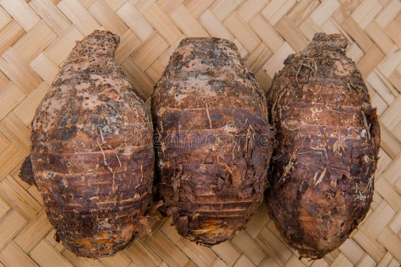 Taro Roots , Bamboo Basket. Stock Photo - Image of dessert, esculenta ...