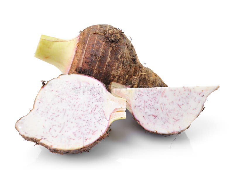 Taro Roots and Cross Sections Stock Photo - Image of sections, taros ...