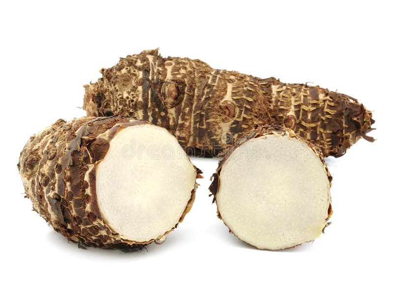 Taro Roots and Cross Sections Stock Photo - Image of sections, taros ...
