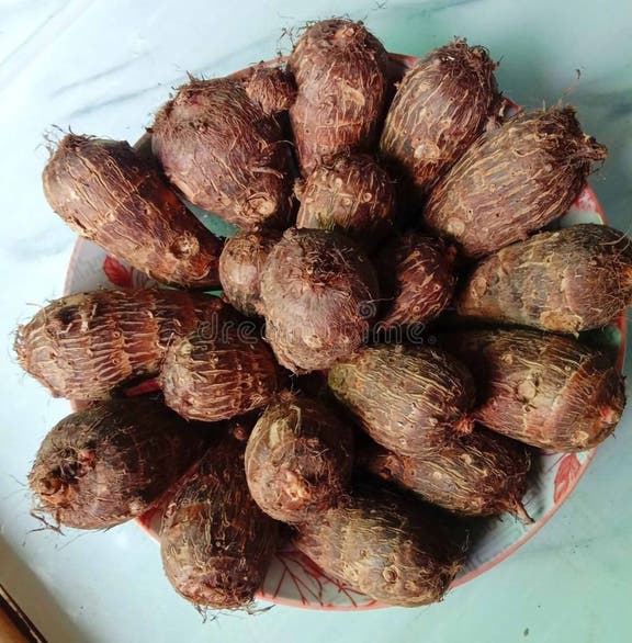 Taro, Small Taro, Fruit, Boiled Taro, Fried Taro, Snacks Stock Image ...
