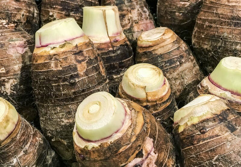Taro stack in the market stock image. Image of organic - 116445529