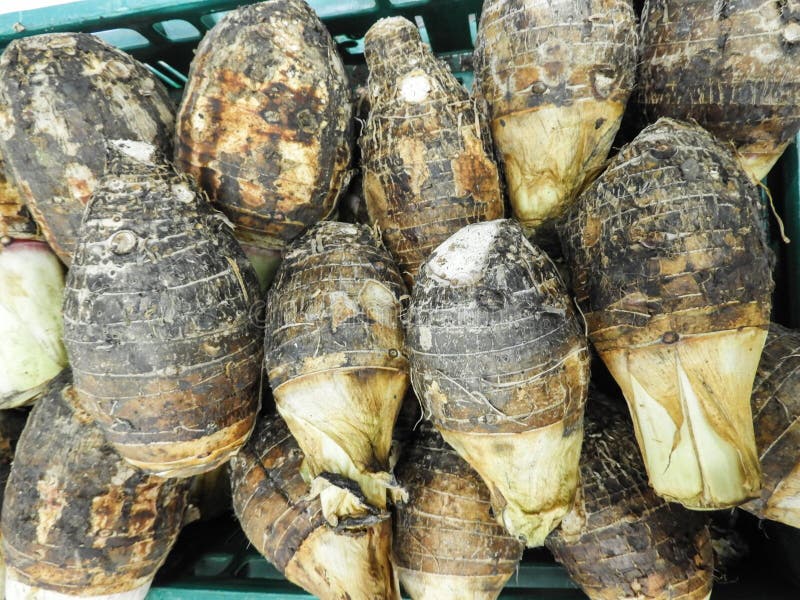Taro, a Starchy Root Vegetable, is Beloved for Its Versatile Nature and ...