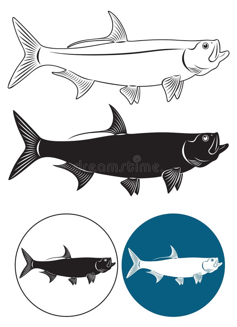 Tarpon Fish Silhouette Stock Illustrations – 84 Tarpon Fish Silhouette ...