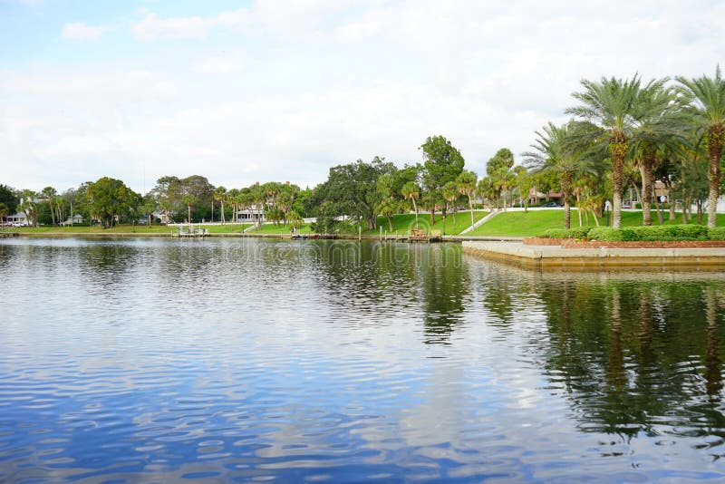 Tarpon spring park stock photo. Image of clearwater, diver - 84197304