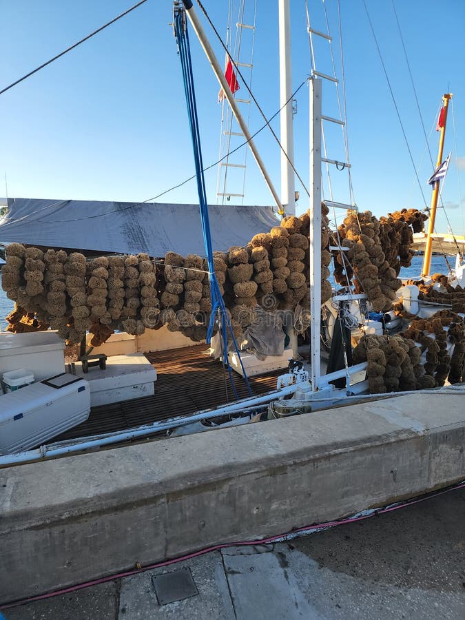 Tarpon Springs, Sponge Docks Editorial Photo - Image of tarpon, fishing ...