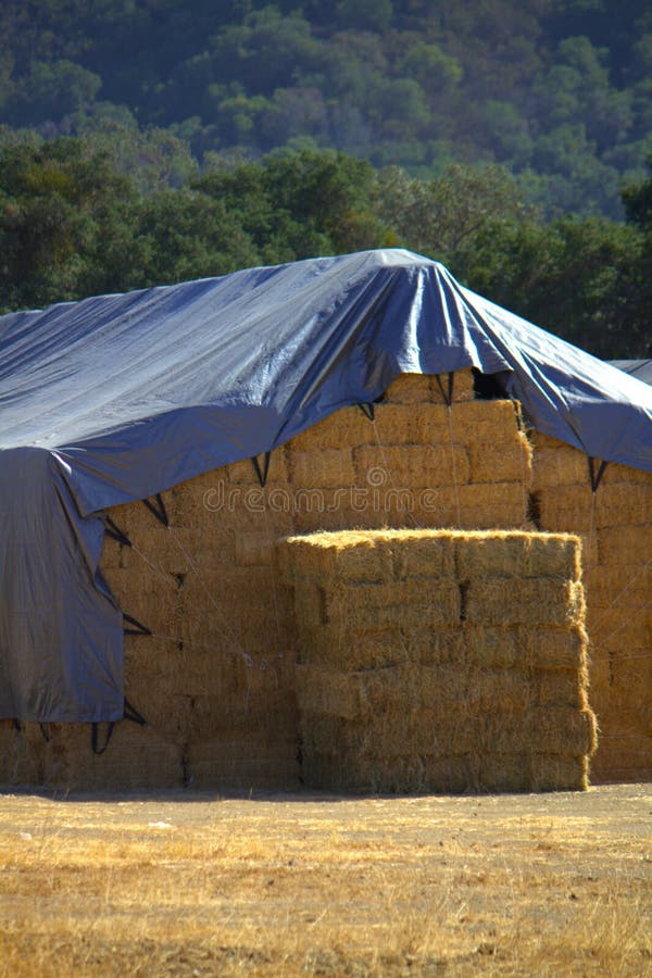 Tarps over Hay stock image. Image of stables, farming - 45738689