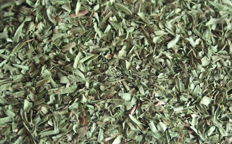 Grounded Tarragones Stock Photos - Free & Royalty-Free Stock Photos ...