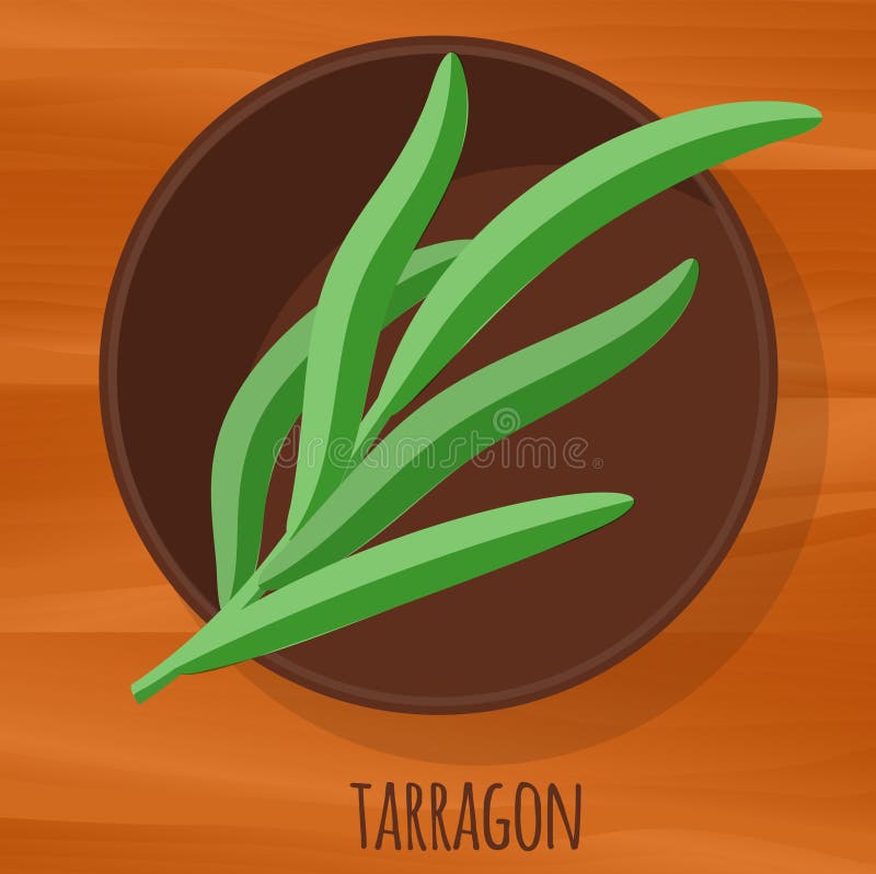 Tarragon Flat Design Vector Icon. Stock Vector - Illustration of ...