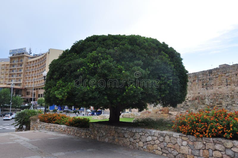 Tarragona town editorial photo. Image of stone, flowers - 97505876